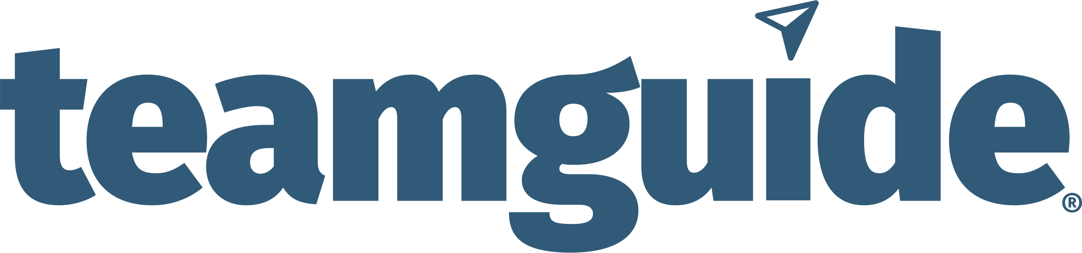 TEAMGUIDE – GUIDE YOUR TEAM THROUGH THE DAY